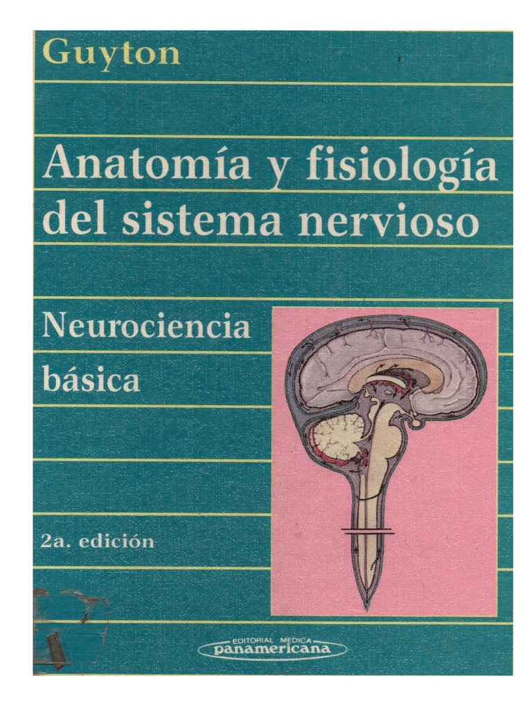 Anatomia y Fis. Del Sist. Nerv. Cap IV-7 | PDF
