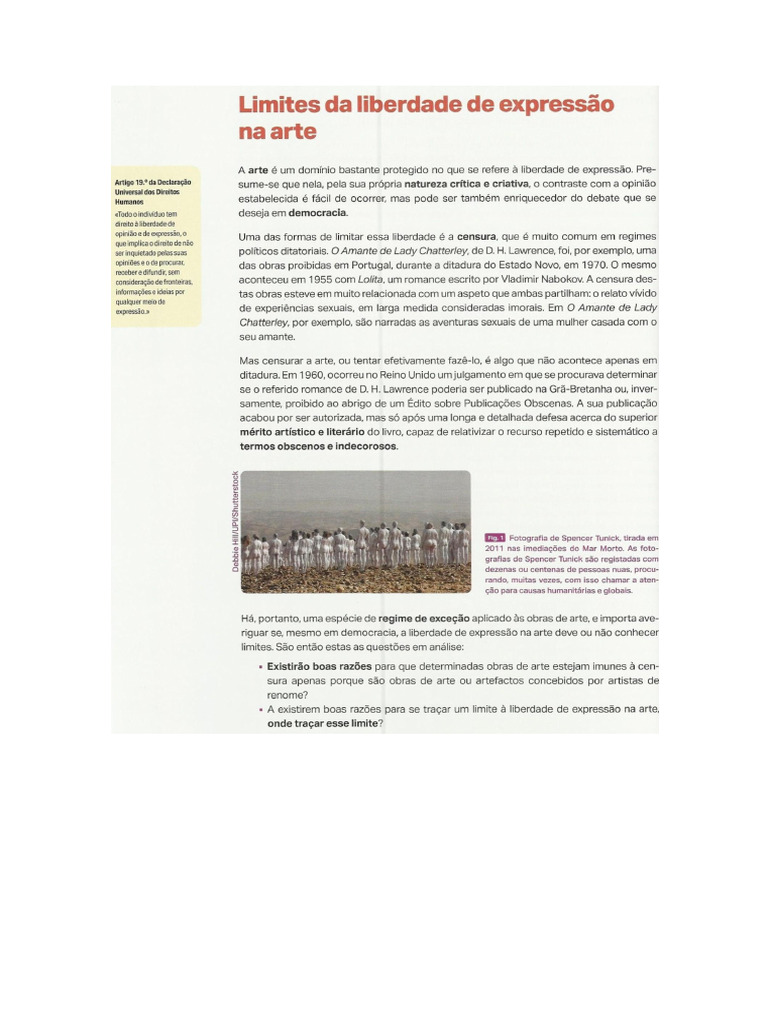 Limites Da Liberdade de Expressão Na Arte | PDF
