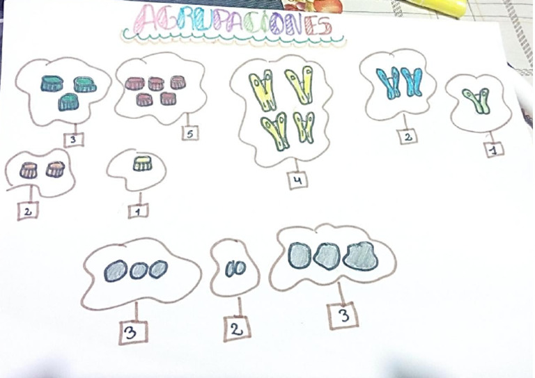 agrupacion miss ANA | PDF