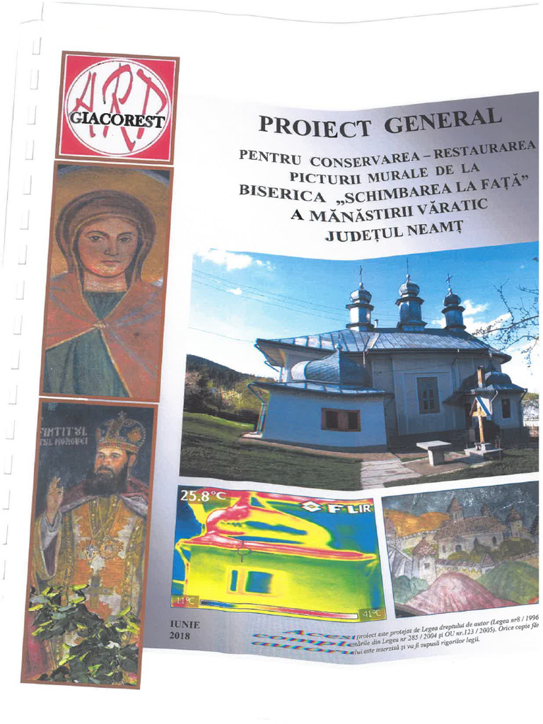 Proiect Varatic | PDF