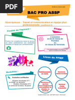 BCP Assp Guide Eleve Dossier E31 | PDF