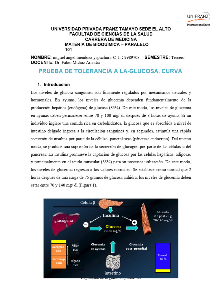 Curva de Tolerancia de La Glucosa, Miguel Mendoza | PDF | Insulina ...