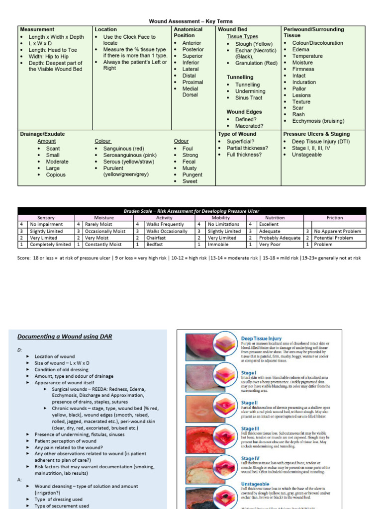 Wound Assessment Documentation Guide | PDF | Wound | Anatomical Terms ...