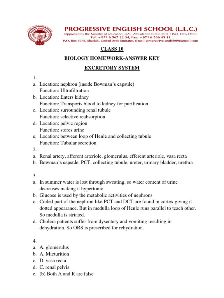 Biology-Class 10 - (2025) - AK-Excretory System | PDF