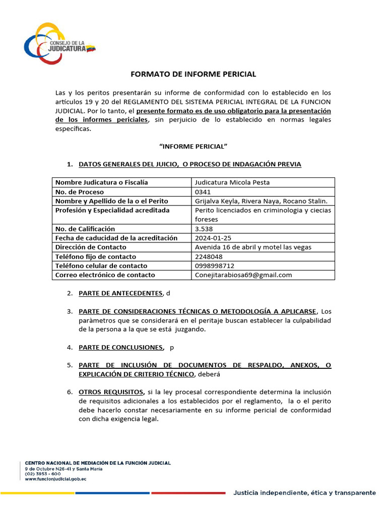 Formato de Informe Pericial | PDF | Testigo experto | Justicia