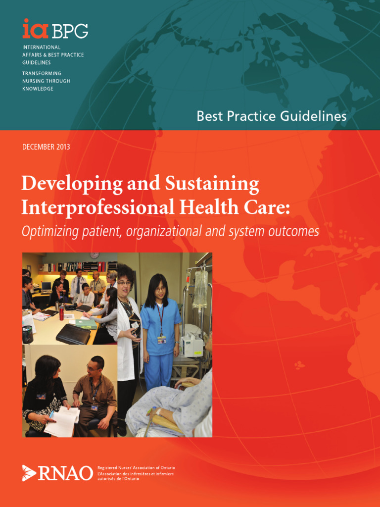 Developing and Sustaining Interprofessional Health Care:: Optimizing ...