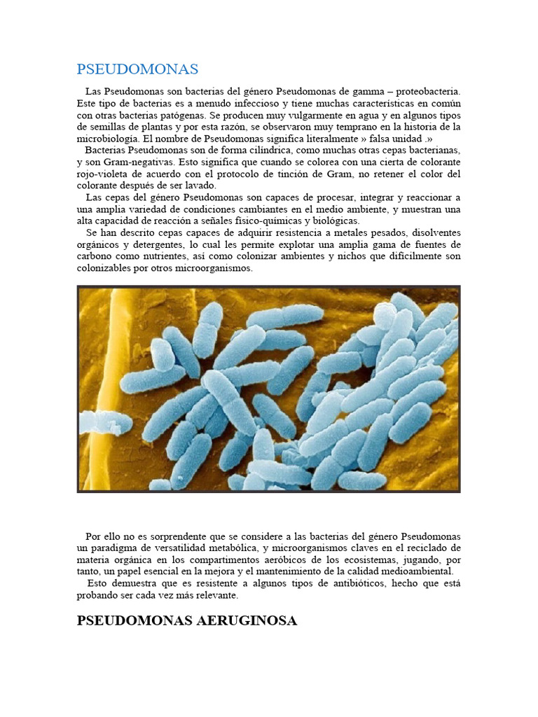 PSEUDOMONAS | PDF | Pseudomonas | Especialidades Medicas