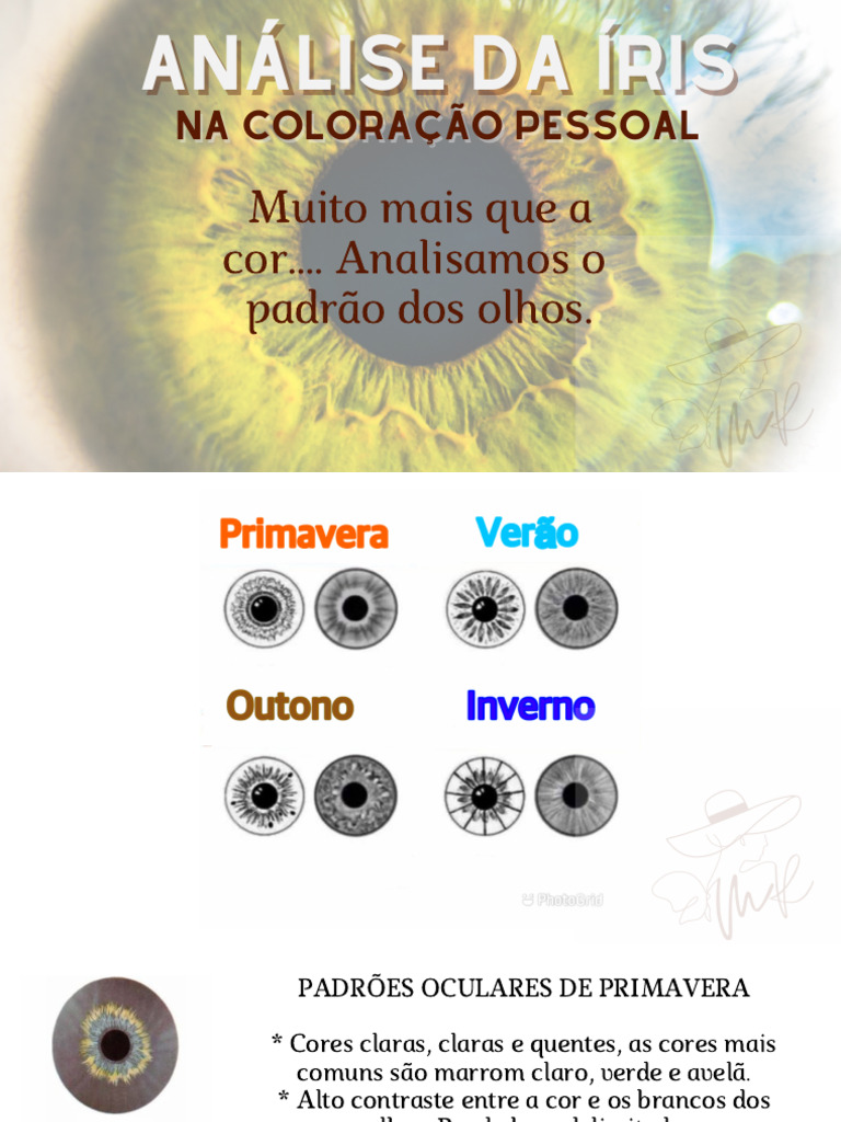 Análise Da Iris | PDF