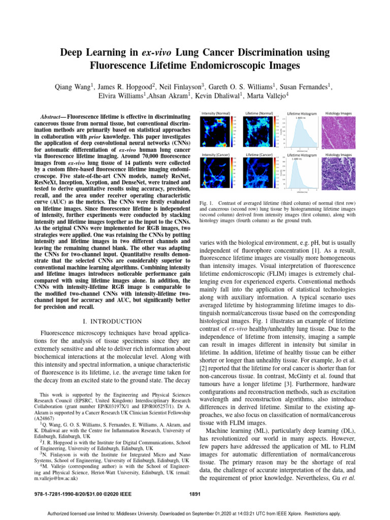 Deep learning in ex-vivo lung cancer discrimination using FLT ...