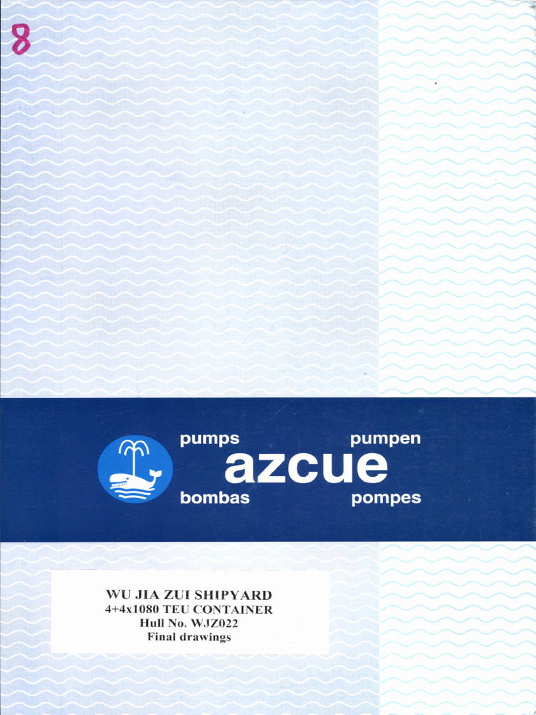 Azcue Pumps | PDF