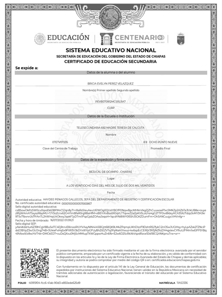 Certificado de Bricia - 110536 | PDF