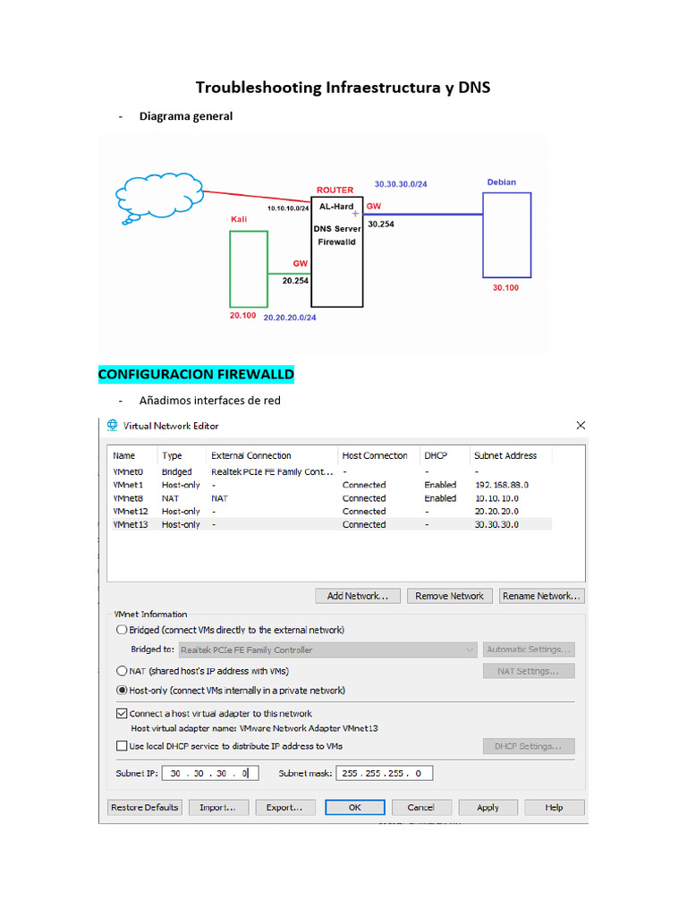 Trabajo Final Troubleshooting Infraestructura y DNS | PDF | Dirección IP | Controlador de ...