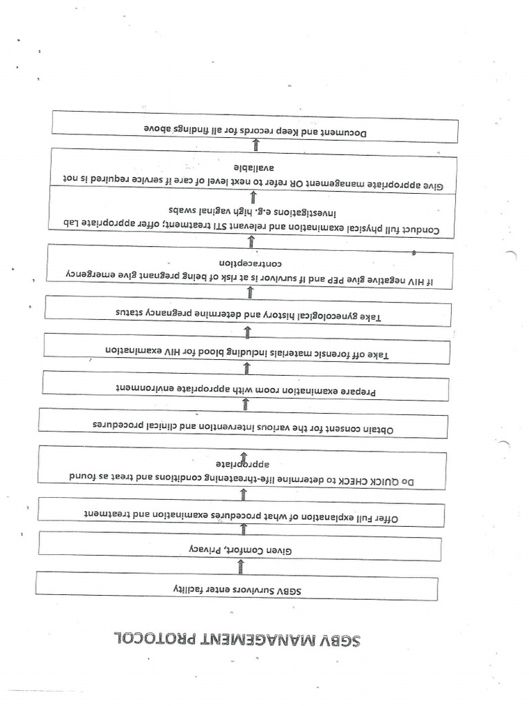 GBV Pathways | PDF