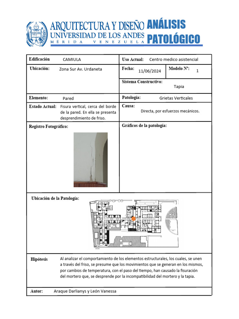 Ficha Con Problematicas PATOLOGIA | PDF | Techo
