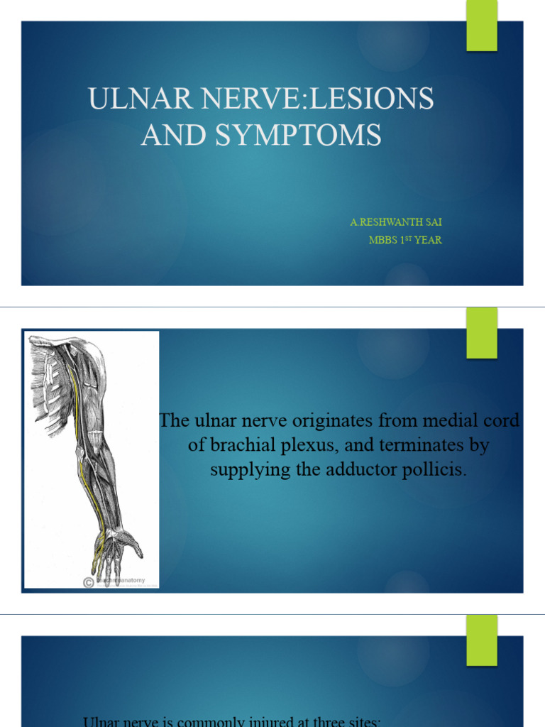 Ulnar Nerve:Lesions and Symptoms: A.Reshwanth Sai Mbbs 1 Year | PDF ...