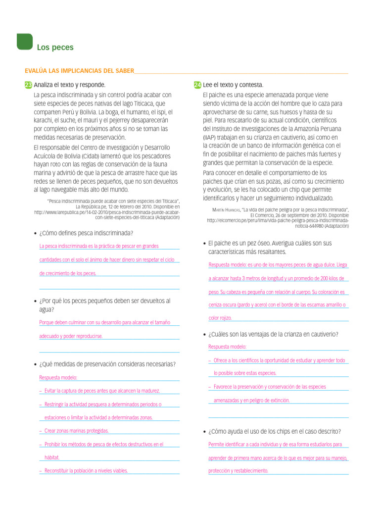 D-1º Sol Pract-Act5 Cyt U3 | PDF | Pescado