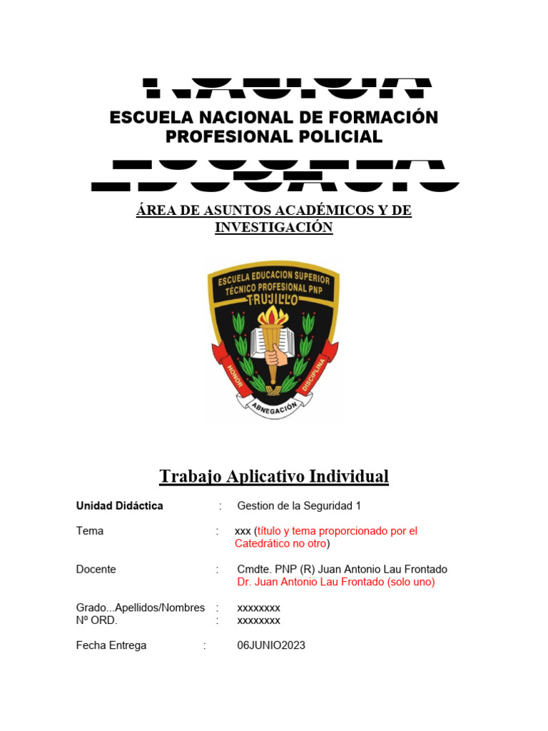 Esquema Basico de Los Trabajos Aplicativos Individual Secc | PDF