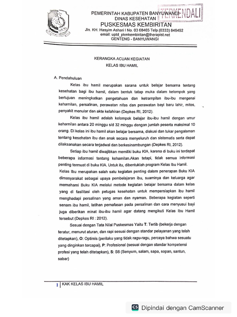 Kak kelas ibu hamil REVISI | PDF