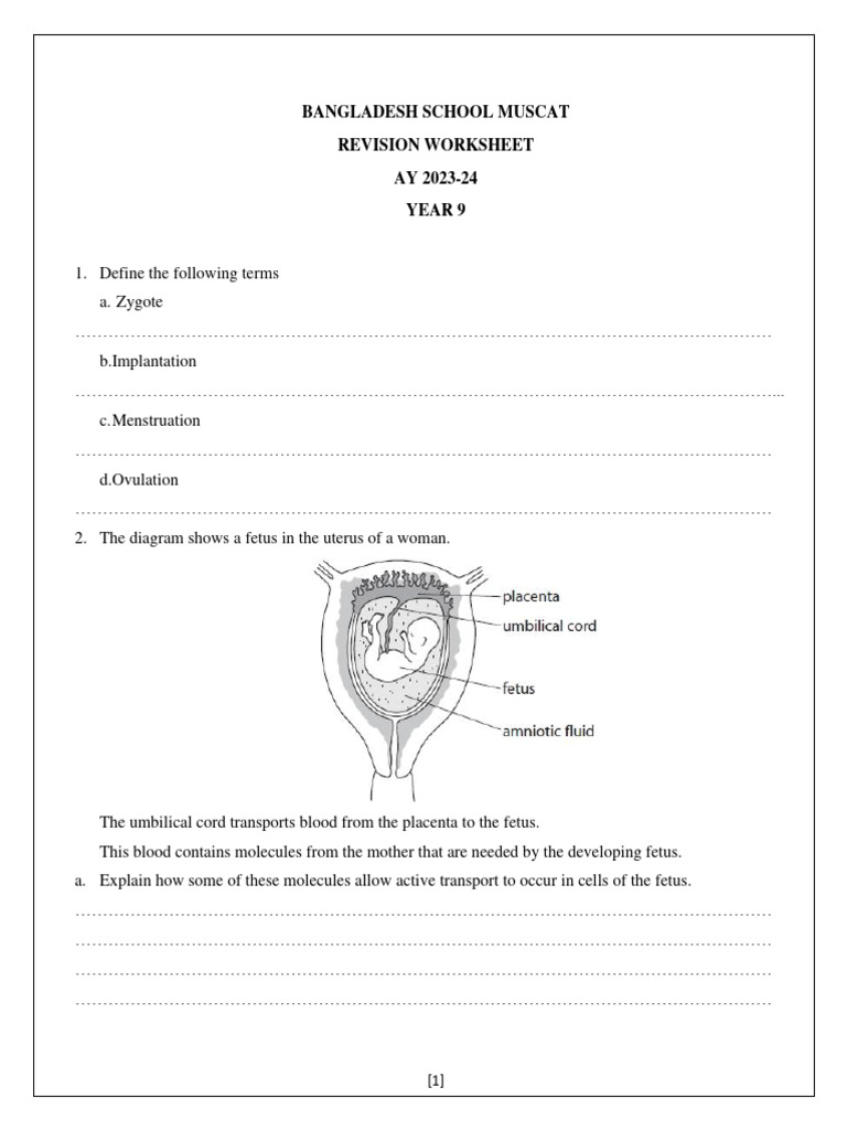 Class 9-Revision Worksheet-Reproduction in Humans | PDF | Menstrual ...