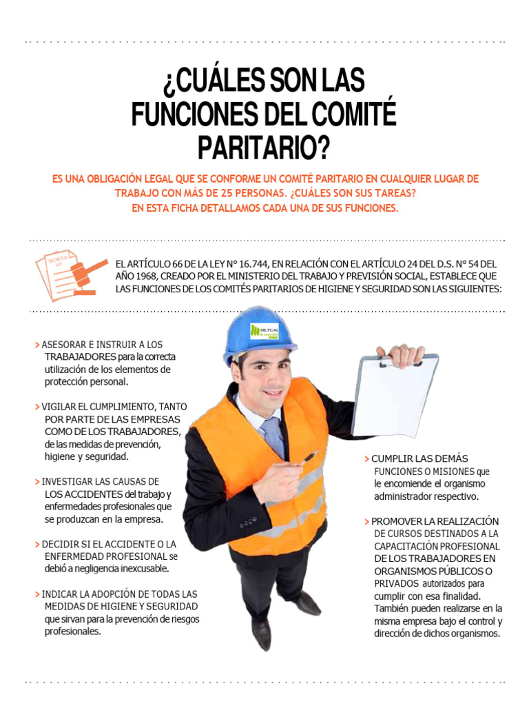 Cuales Son Las Funciones Del Comite Paritario | PDF