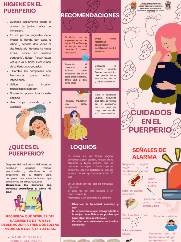 Tríptico Sobre Cuidados Del Puerperio | PDF | Parto | Periodo posparto