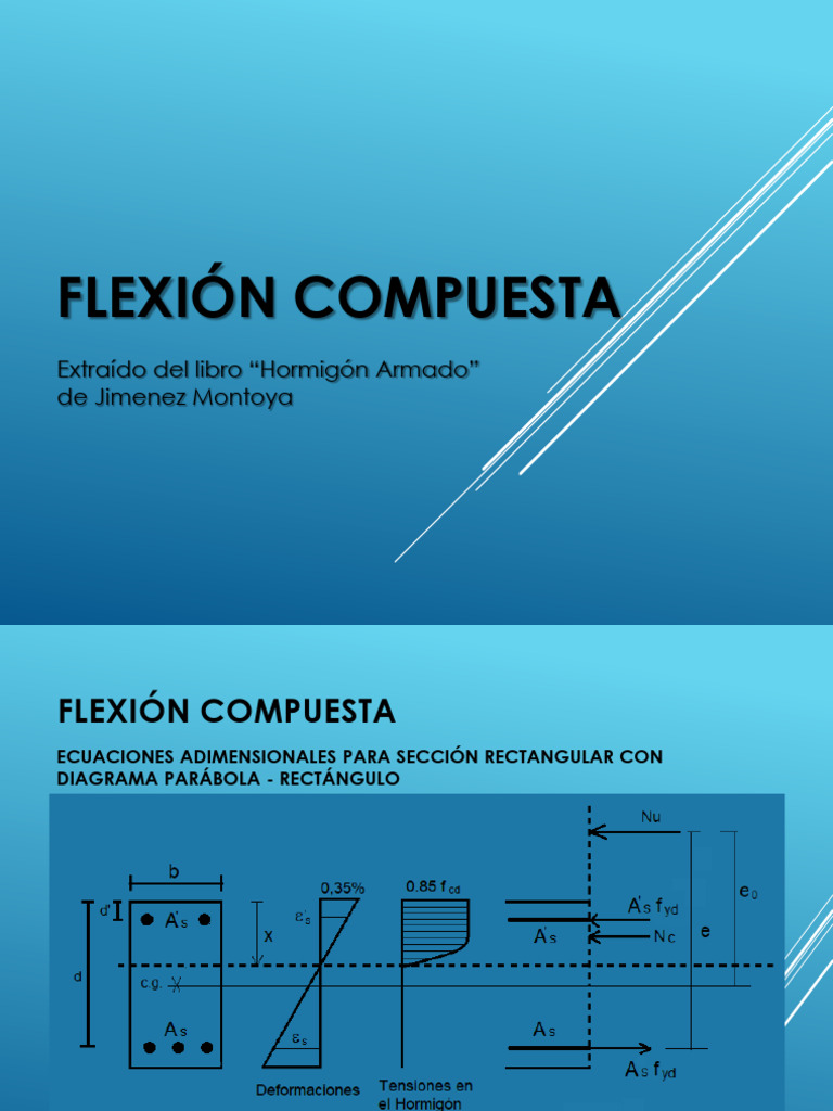 Flex CompGranExce | Descargar gratis PDF | Braguero | Ingeniería de ...