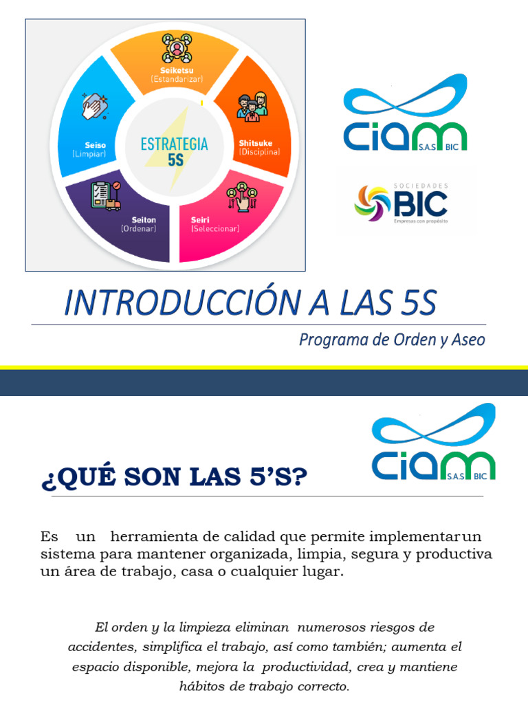 Capacitación 5S 2024 | PDF | Crecimiento personal y profesional
