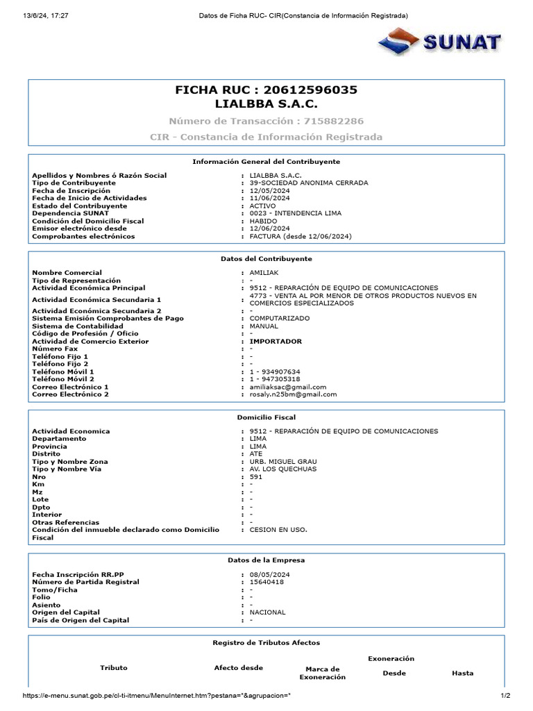 Ficha Ruc | Descargar gratis PDF | Industrias de servicio