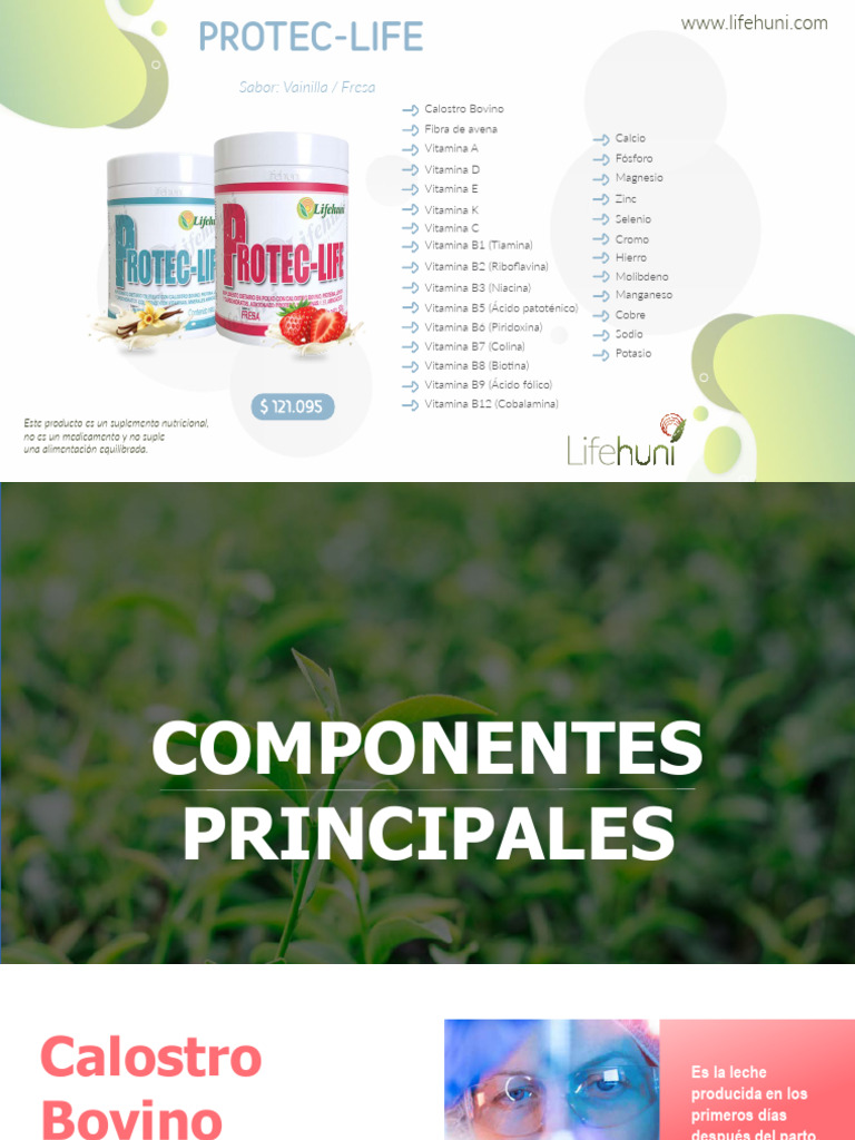 PROTEC-LIFE | PDF | Vitamina D | Vitamina