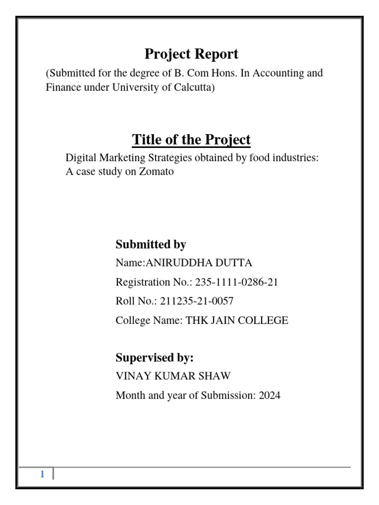 Aniruddh Project Work | PDF | Digital Marketing | Marketing