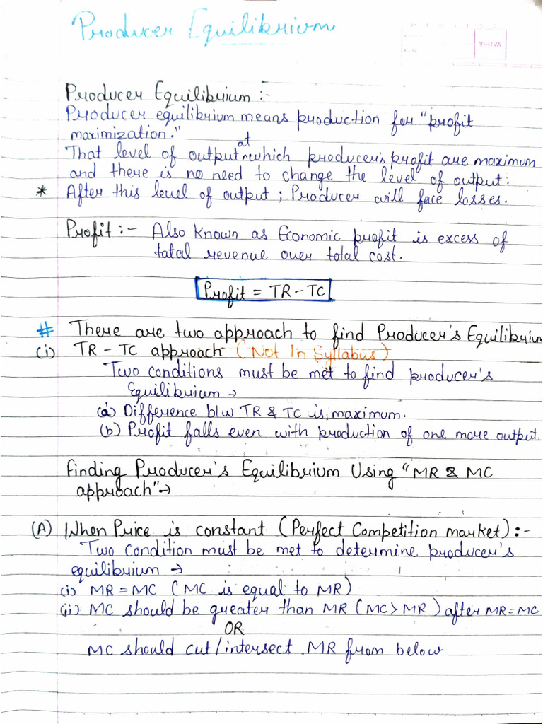 Producer's Equilibrium | PDF