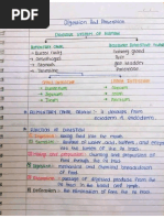 Digestive System Notes | PDF