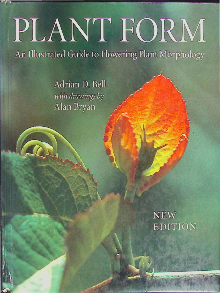 Bell Plant Form | PDF | Leaf | Bud