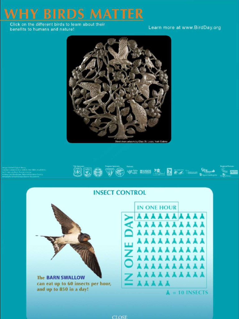 Why Birds Matter | PDF