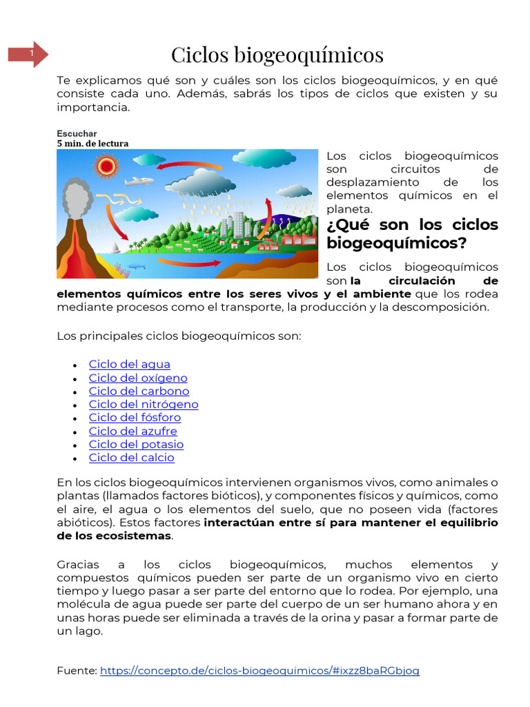 Ciclos biogeoquímicos | PDF | Agua | Nitrógeno