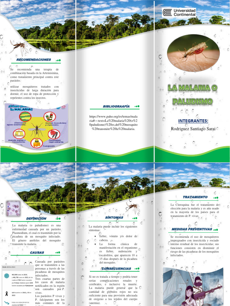 Triptico | PDF | Malaria | Medicina