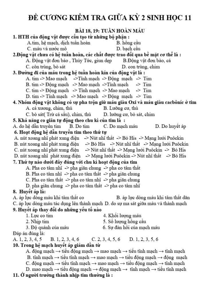 De Cuong Kiem Tra Giưa Ky Sinh 11 | PDF