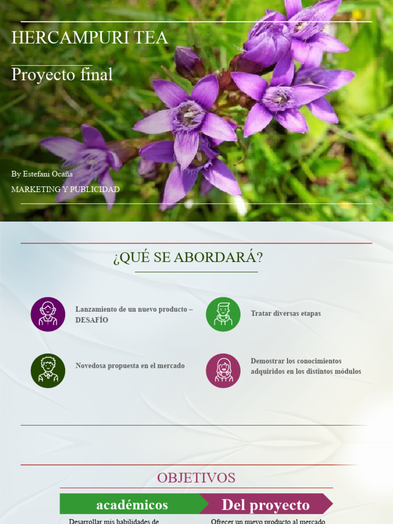Presentacion PROYECTO FINAL - HERCAMPURI TEA | PDF | Publicidad digital | Marketing