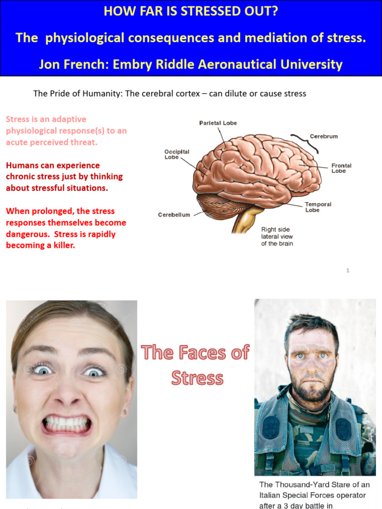 (Unit 13) - Stress and The Human Condition | PDF | Human | Stress (Biology)