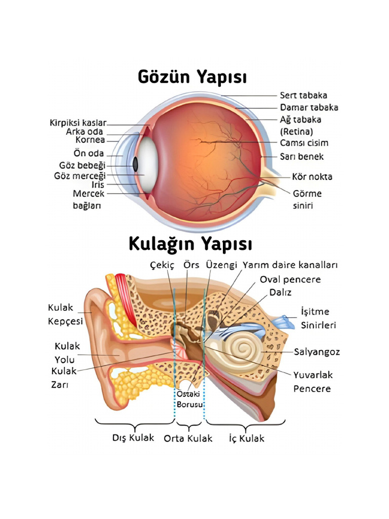 HHHJH | PDF