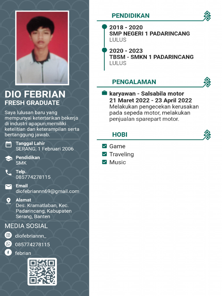 CV Dio Febrian | PDF