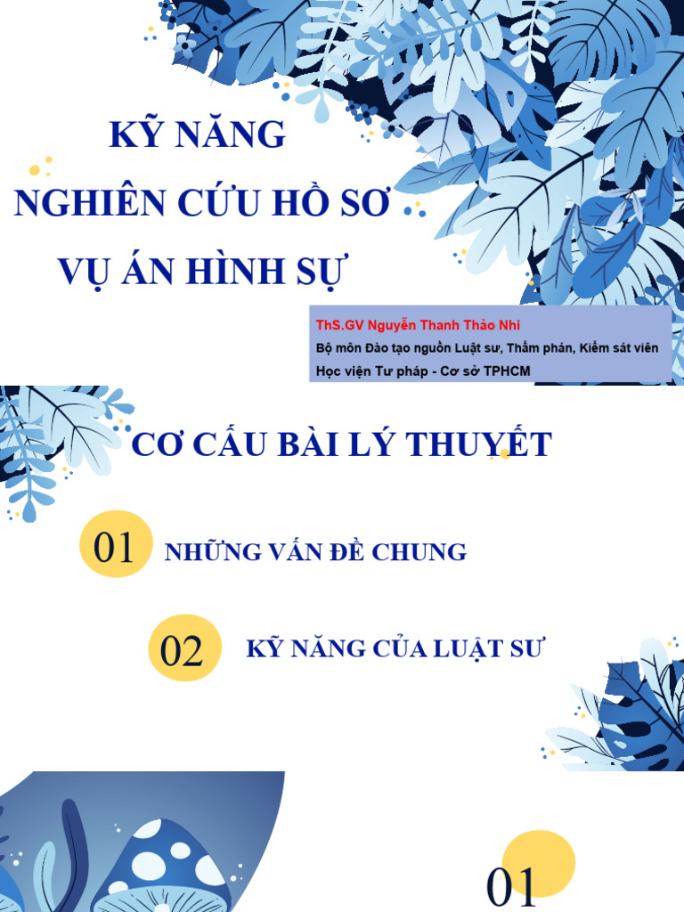 KN Nghiên C U H Sơ V Án Hình S | PDF