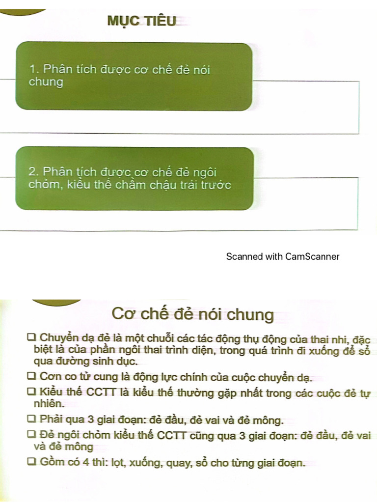 lec 14 cơ chế đẻ | PDF