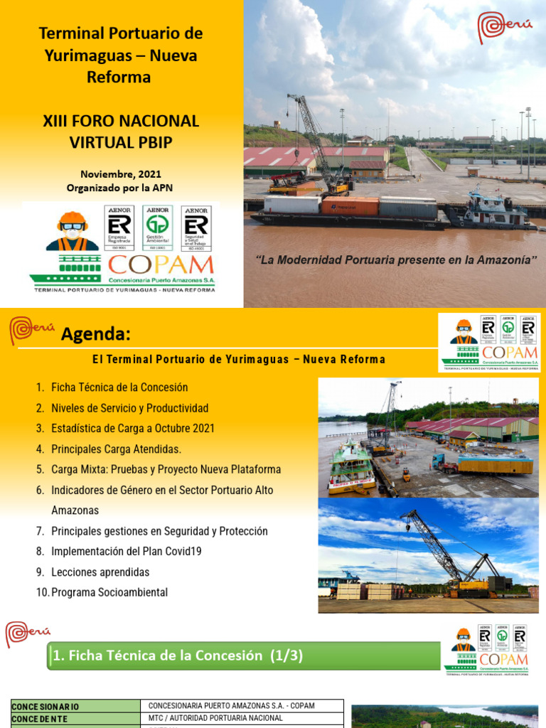 Analista de Regulación y Finanzas de Concesionaria Puerto Amazonas ...