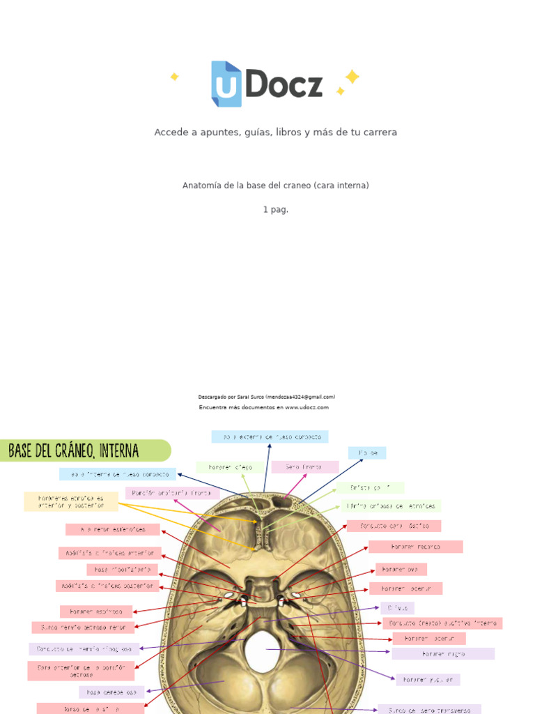 Craneo Anatomia | PDF