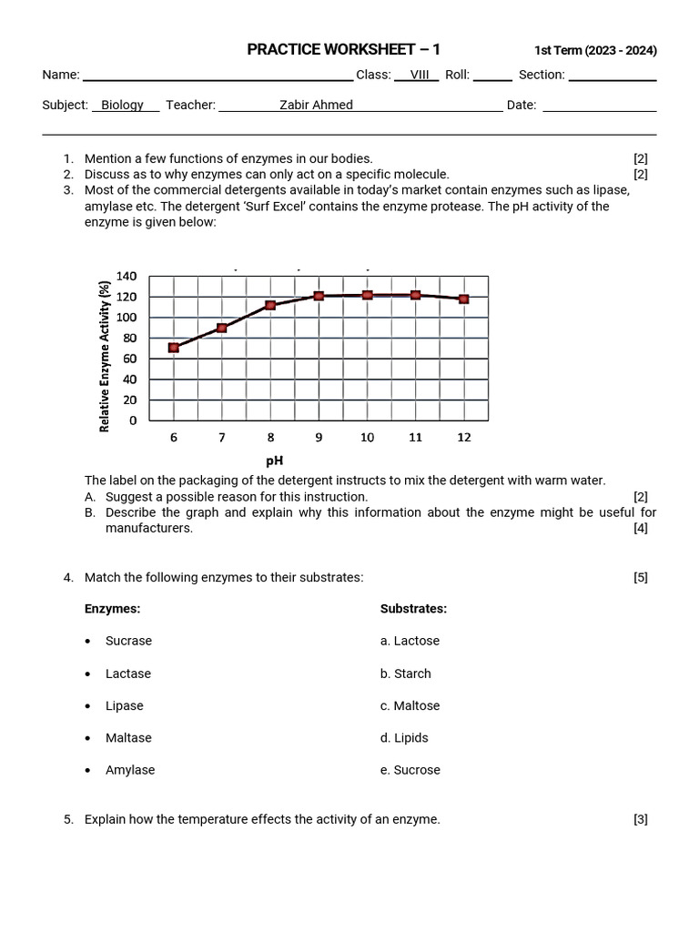 VIII Biology Practice Worksheet 1 | PDF | Enzyme | Digestion