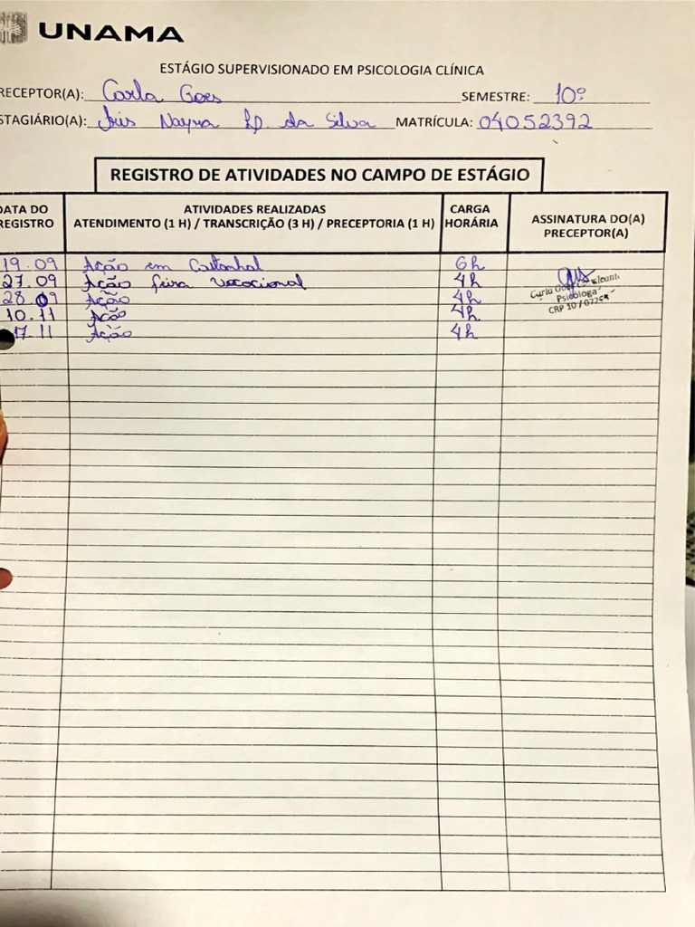 Registro de Atividades | PDF