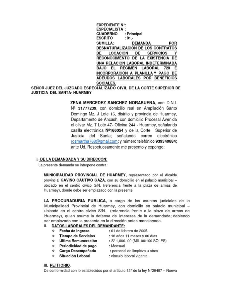 Demanda - Zena Mercedez Sanchez Norabuena - Laboral - Convertir | PDF ...