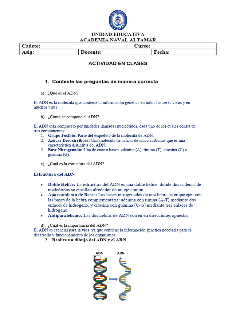 Actividad en Clases de 2do BGU Resueltas | PDF | Adn | Replicación De Adn