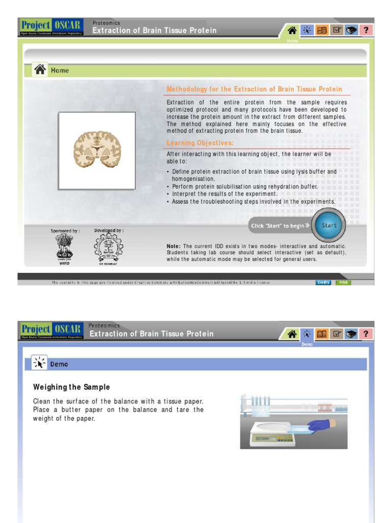 Methodology For The Extraction of Brain Tissue Protein | PDF ...